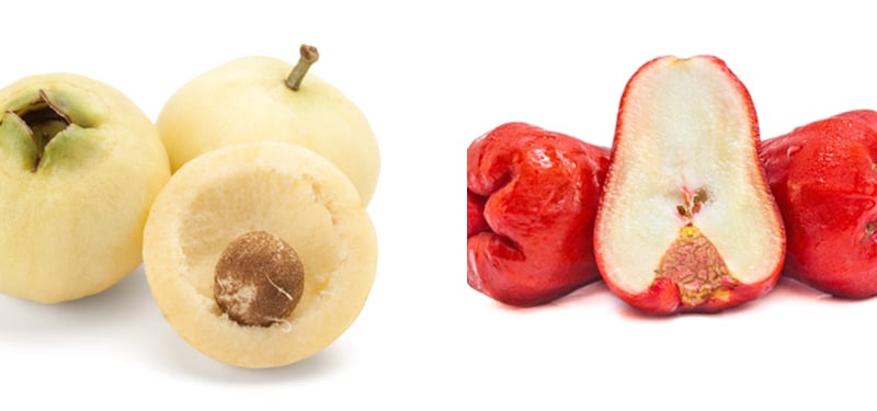 Os Benefícios do Jambo Para a Sua Saúde. - Brasil Educa