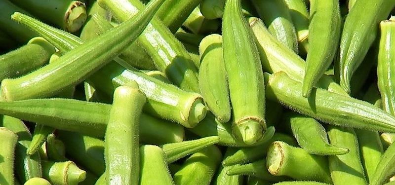 Quiabo: como esse alimento pode melhorar a sua saúde! - Brasil Educa