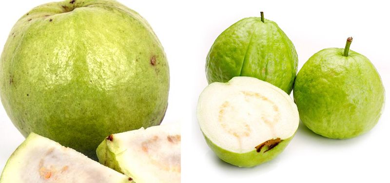 Goiaba branca: Veja o que essa fruta pode fazer pela sua saúde ...