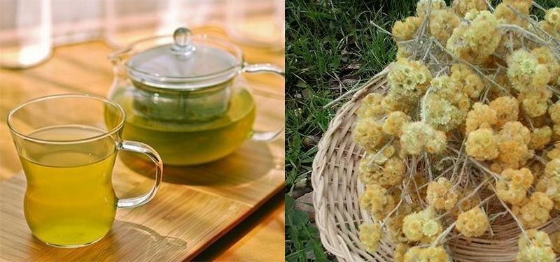 Chá de marcela: benefícios, como fazer e contraindicações. - Brasil Educa