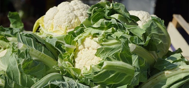 Couve-Flor: Benefícios e Como Adicionar na sua Dieta - Brasil Educa