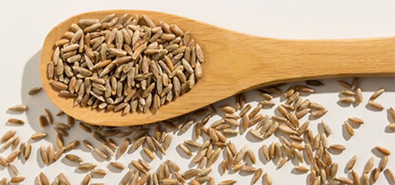 Farinha de Centeio: Benefícios, Para Que Serve e Nutrientes - Brasil Educa